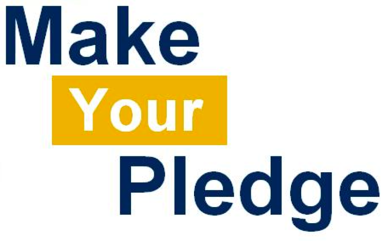 Shifting the Power: A Different Kind of Founders Pledge | WeRobotics